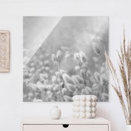 Bilderwelten Glasbild Blumen Landhaus schwarz weiss Glas Wandbild - Zarte Gr&auml;ser II - Gr&auml;ser Wohnzimmer Schlafzimmer