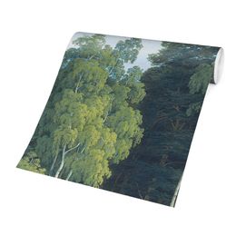 Bilderwelten Fototapete Wald modern Wandtapete gr&uuml;n - Anton Radl - Im Wald zwischen Birken und Buchen - B&auml;ume Wohnzimmer Schlafzimmer