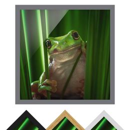 Bilderwelten Bild mit Rahmen - Quadrat Fr&ouml;hlicher Frosch
