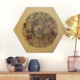 Bilderwelten Hexagon-Alu-Dibond Bild Wasserfarben - Marienk&auml;fer im Garten