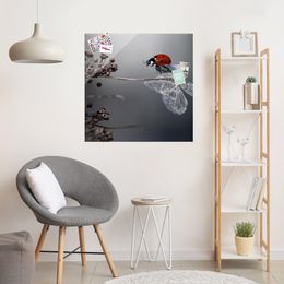 Bilderwelten Glasbild Tiere Tropisch rot Glas Wandbild - Marienk&auml;fer auf Hortensie - Deko Wohnzimmer Schlafzimmer