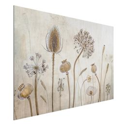 Bilderwelten Alu-Dibond Outdoor Bild Growing Old