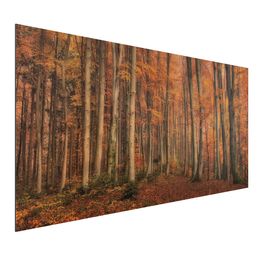 Bilderwelten Alu-Dibond Outdoor Bild Herbstspaziergang