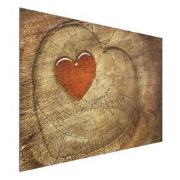 Bilderwelten Alu Dibond Outdoor Bild Liebe einzigartig modern Holzoptik - Natural Love Panorama - Deko Wohnzimmer Schlafzimmer