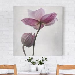 Bilderwelten Leinwandbild Blumen Tropisch Kunstdruck rosa - Anemonen in rosa - Wandbild XXL Wohnzimmer Schlafzimmer