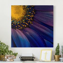 Bilderwelten Leinwandbild - Quadrat Blaue Gerberabl&uuml;te