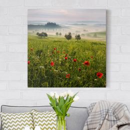 Leinwandbild Natur & Landschaft Toskana Fr&uuml;hling