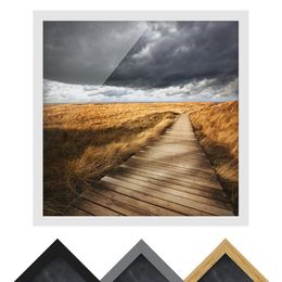 Bilderwelten Bild mit Rahmen - Quadrat Weg in den D&uuml;nen