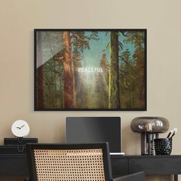 Bilderwelten Bild mit Rahmen Peaceful