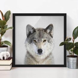 Bilderwelten Bild mit Rahmen Wolf Wendelin