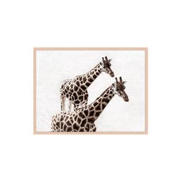 Liv Corday Image 'Giraffes Couple' male Brown size 30x40