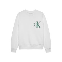 Calvin Klein Jeans Sweatshirt Jungen Gr&ouml;&szlig;e 152 gr&uuml;n / wei&szlig;