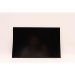 Lenovo DISPLAY FRU AUO 13.3 WUXGA, Notebook Ersatzteile