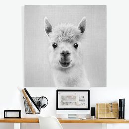 Bilderwelten Leinwandbild Tiere Motiv Kunstdruck schwarz weiss - Lama Lars Schwarz Wei&szlig; - Wandbild XXL Kinderzimmer Baby M&auml;dchen Jungen