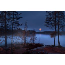 papermoon Fototapete "Photo-Art NIKKI GEORGIEVA V, ROTER MOND", B/L: 2,5mm x 1,86mm, Bahnen: 5 Stk. St., bunt, Schlafzimmer, Tapeten