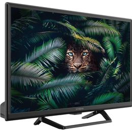 Strong TV LCD-Fernseher SRT24HE4023C Schwarz 24 Zoll