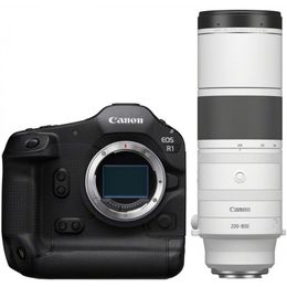 Canon EOS R1 + RF 200-800mm f6,3-9 IS USM