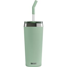 Sigg, Trinkflasche + Thermosflasche, (0.60 l)