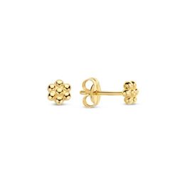 Jackie Gold Ohrringe - Jackie Margarita Studs - Gr. unisize - in Gold - f&uuml;r Damen
