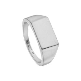 STEELWEAR Ring male Silver size 62