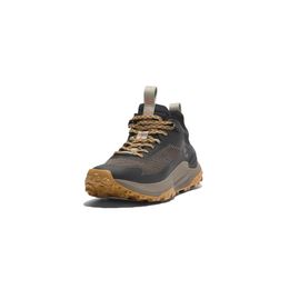 Timberland Sneaker Herren Gr&ouml;&szlig;e 47.5 cappuccino / schwarz
