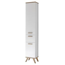 Pelipal Hochschrank NOVENTA