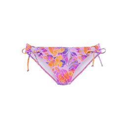 Sunseeker Bikini Bottoms female Purple size 42