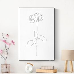 Akustik-Wechselbild Line Art Blumen - Pfingstrose