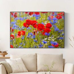Akustik-Wechselbild Sommerwiese mit Mohn und Kornblumen