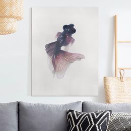 Bilderwelten Leinwandbild Jonas Loose Pop Art Tiere Fisch mit Galaxie - Leinwanddruck Hochformat - Wandbild S-XXL - moderne Bilder auf Leinwand Flur Wohnzimmer