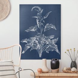 Bilderwelten Leinwandbild Botanik Denim Pflanzenstudie II - Leinwanddruck Hochformat - Wandbild S-XXL - moderne Bilder auf Leinwand Flur Wohnzimmer