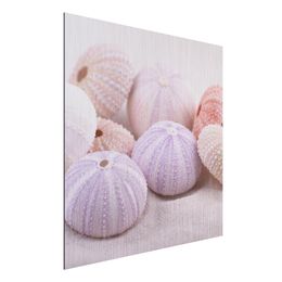 Alu Dibond Outdoor Bild - Seeigel in Pastell - Tiere pastell Motiv wetterfest Deko Wohnzimmer Schlafzimmer