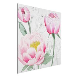 Bilderwelten Alu Dibond Outdoor Bild Blumen rosa modern Aquarell - Zeichnung Rosa P&auml;onien II - Rose Wohnzimmer Schlafzimmer