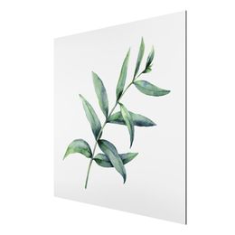 Bilderwelten Alu-Dibond Outdoor Bild Aquarell Eucalyptus I