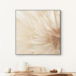 Wechselbild Weiche Pusteblume