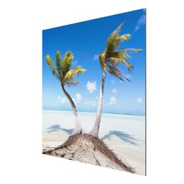 Bilderwelten Alu-Dibond Outdoor Bild Urlaub unter Palmen