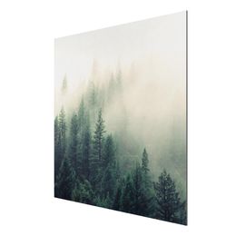 Bilderwelten Alu-Dibond Outdoor Bild Wald im Nebel Erwachen