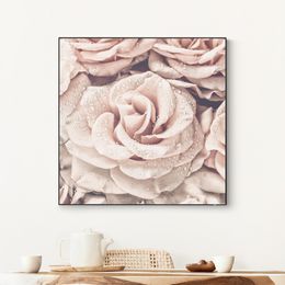 Wechselbild Rosen Sepia mit Wassertropfen
