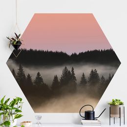 Hexagon Fototapete selbstklebend Vertr&auml;umter Waldnebel