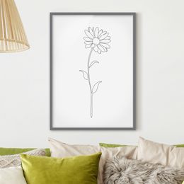 Bild mit Rahmen Line Art Blumen - Margerite