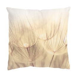 Bilderwelten Dekokissen Kissenbezug beige Blumen Motiv - Pusteblumen Sepia - Pusteblume Sofakissen Bezug & F&uuml;llung in 40x40 50x50 60x60