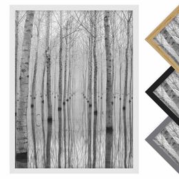 Bilderwelten Bild mit Rahmen - Hochformat Birken im November