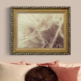 Bild mit Barockrahmen Antik - Detailreiche Pusteblumen Makroaufnahme mit Vintage Blur Effekt - Blumen Vintage Barock beige Pusteblume Wohnzimmer