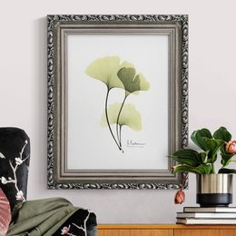 Bilderwelten Leinwandbild mit Barockrahmen X-Ray - Ginkgo