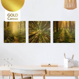 Bilderwelten Leinwandbild Wald Motiv Kunstdruck gr&uuml;n - Wald Trio - B&auml;ume XXL Wohnzimmer Schlafzimmer