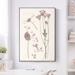Akustik-Wechselbild Herbarium in rosa II