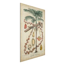 Bilderwelten Alu Dibond Outdoor Bild Natur gr&uuml;n Vintage wetterfest - Vintage Lehrtafel Exotische palmen II - Pflanzen Wohnzimmer Schlafzimmer