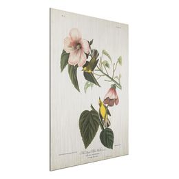 Bilderwelten Alu-Dibond Outdoor Bild Vintage Lehrtafel Grasm&uuml;cke II