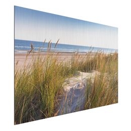 Alu Dibond Outdoor Bild - Strandd&uuml;ne am Meer - Strand beige Motiv wetterfest D&uuml;nen Wohnzimmer Schlafzimmer