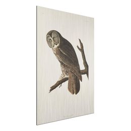 Bilderwelten Alu-Dibond Outdoor Bild Vintage Lehrtafel Gro&szlig;e Eule